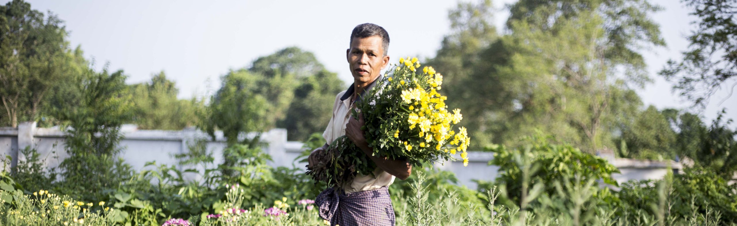 Pyin Oo Lwin | Sampan Travel